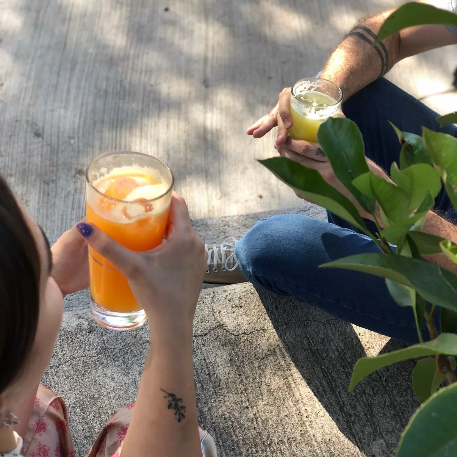 Cómo son las “bebidas funcionales” que sumó Superanfibio para esta ...